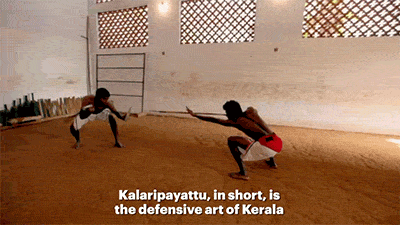 Kalari india martial arts GIF on GIFER - by Gatus