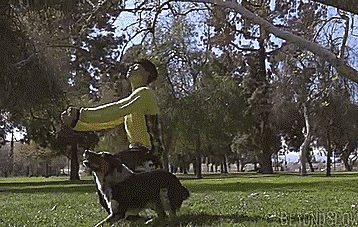 Backflip GIF - Pesquisar em GIFER