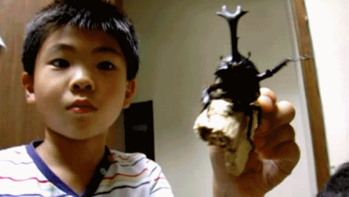 Boy bug GIF - Find on GIFER