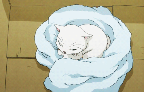 GIF cat anime kawaii - animated GIF on GIFER