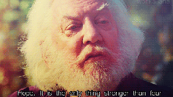 Mockingjay GIF - Find on GIFER