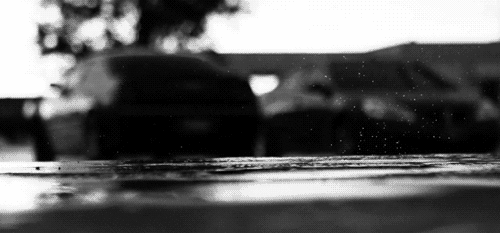 Perfection GIF - Find on GIFER