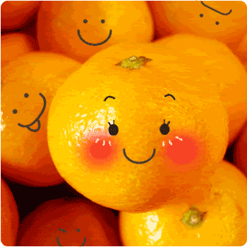 Orange GIF - Find on GIFER