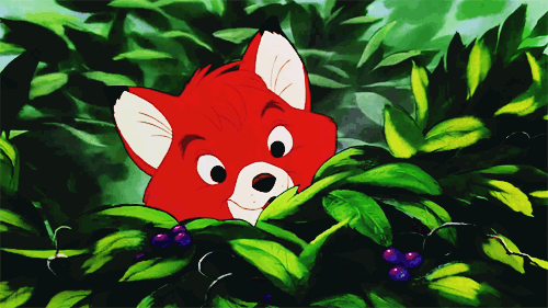 Disney the fox and the hound cartoons comics GIF - Find on GIFER