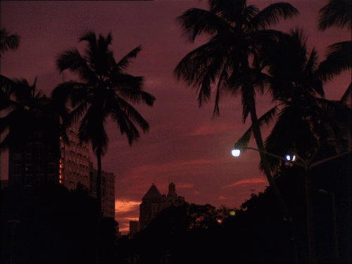 GIF throwback - animated GIF on GIFER