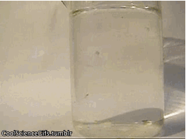 Science chemistry science s GIF - Find on GIFER