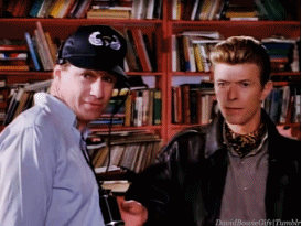 Header GIF - Find on GIFER