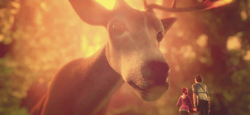 Epic GIF - Find on GIFER