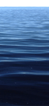 Water boat ocean GIF on GIFER - by Gacage