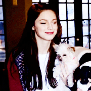 GIF car - animated GIF on GIFER