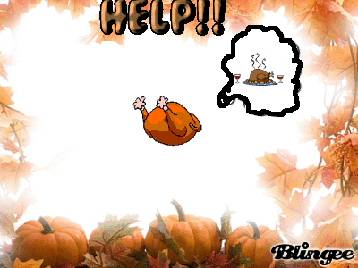 Turkey picture poor GIF - Find on GIFER