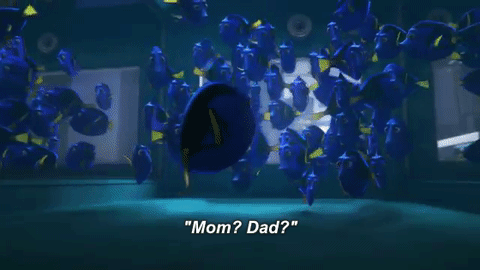 Finding dory GIF - Find on GIFER