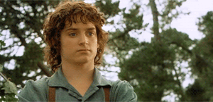 Frodo GIF - Find on GIFER