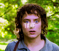 The lord of the rings frodo fellowship of the ring GIF - Find on GIFER