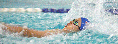 GIF swim - animated GIF on GIFER