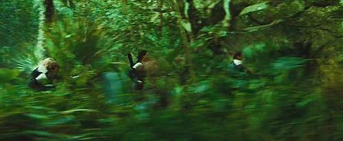 The hunger games catching fire GIF - Find on GIFER