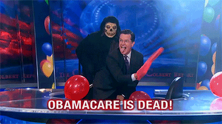 Pandawhale sitepandawhalecom colbert GIF - Find on GIFER