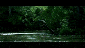Fire upvote support GIF - Find on GIFER