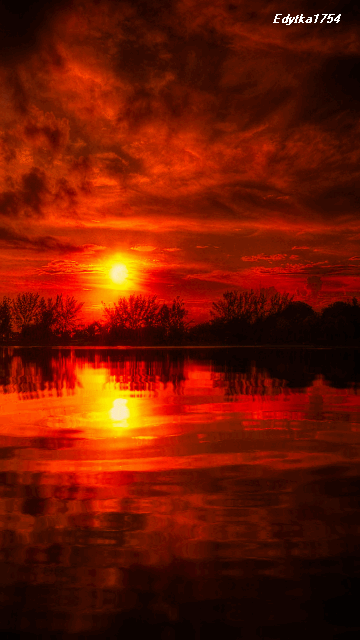 Sunset GIF - Find on GIFER