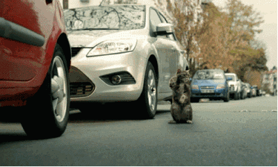Ok stop GIF - Find on GIFER