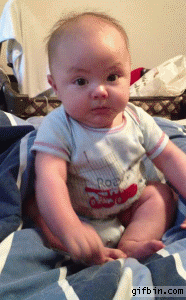 Gun iphone baby GIF - Find on GIFER