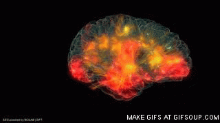 Brain GIF - Find on GIFER