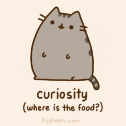 Curiosity GIF - Find on GIFER