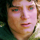 The lord of the rings return of the king frodo GIF - Find on GIFER
