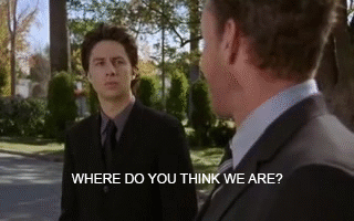 GIF reaction - animated GIF on GIFER