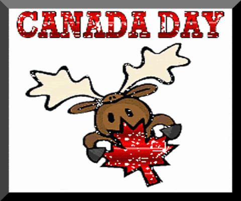 GIF canada day - animated GIF on GIFER
