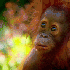Talking heads GIF - Find on GIFER
