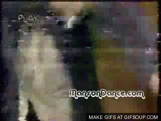 Charles dance GIF - Find on GIFER