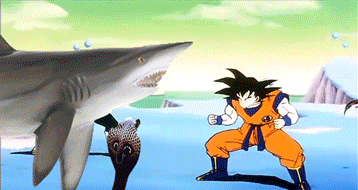 Australia GIF - Find on GIFER