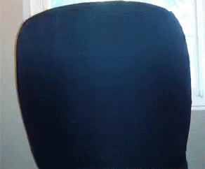 Pug chair expectingyou GIF - Find on GIFER
