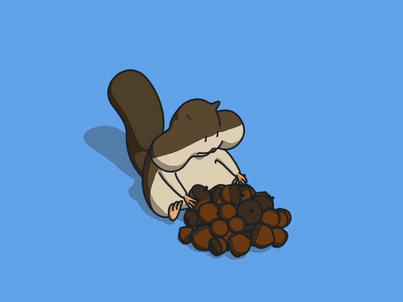 Squirrel GIF - Find on GIFER