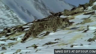 GIF snow - animated GIF on GIFER