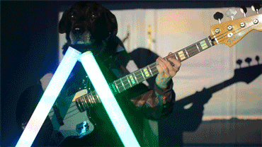 GIF i tried - animated GIF on GIFER