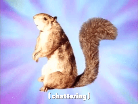 GIF survival of the idiots spongebob squarepants season 2 - animated ...