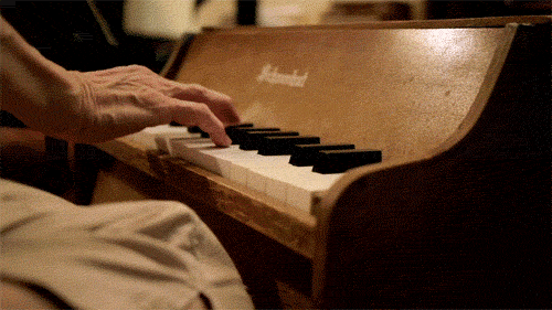 Music animals GIF - Find on GIFER
