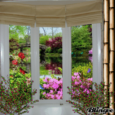 Window GIF - Find on GIFER