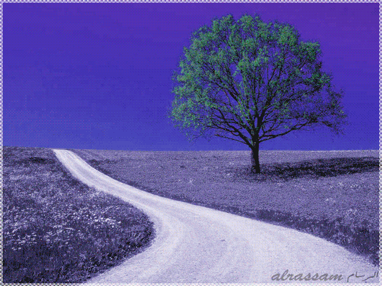 GIF four - animated GIF on GIFER
