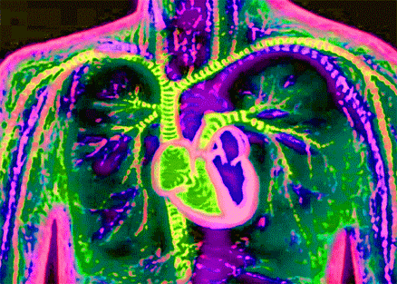 Psychedelics GIF - Find on GIFER