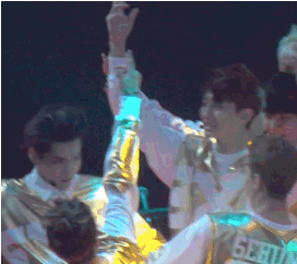 GIF the tree of life - animated GIF on GIFER