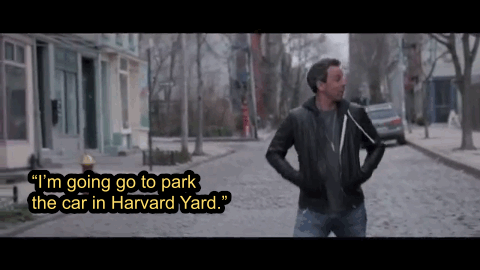 GIF boston - animated GIF on GIFER