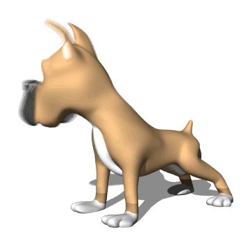 Dog GIF - Find on GIFER
