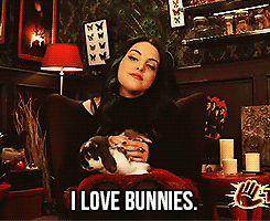 GIF cutest ever - animated GIF on GIFER