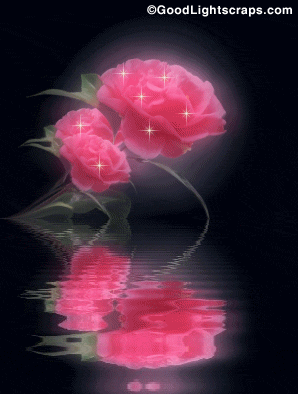 Flower GIF - Find on GIFER