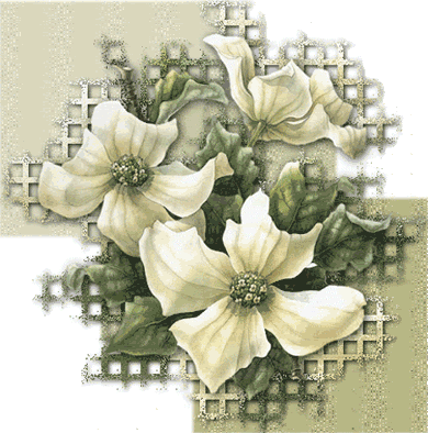 Flower GIF - Find on GIFER