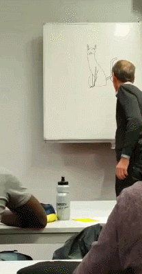 GIF teacher - animated GIF on GIFER