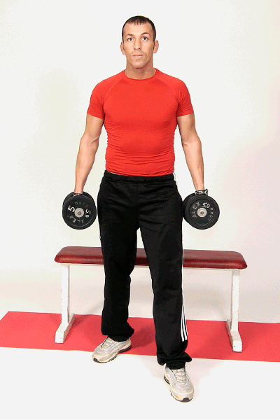 GIF fitness - animated GIF on GIFER